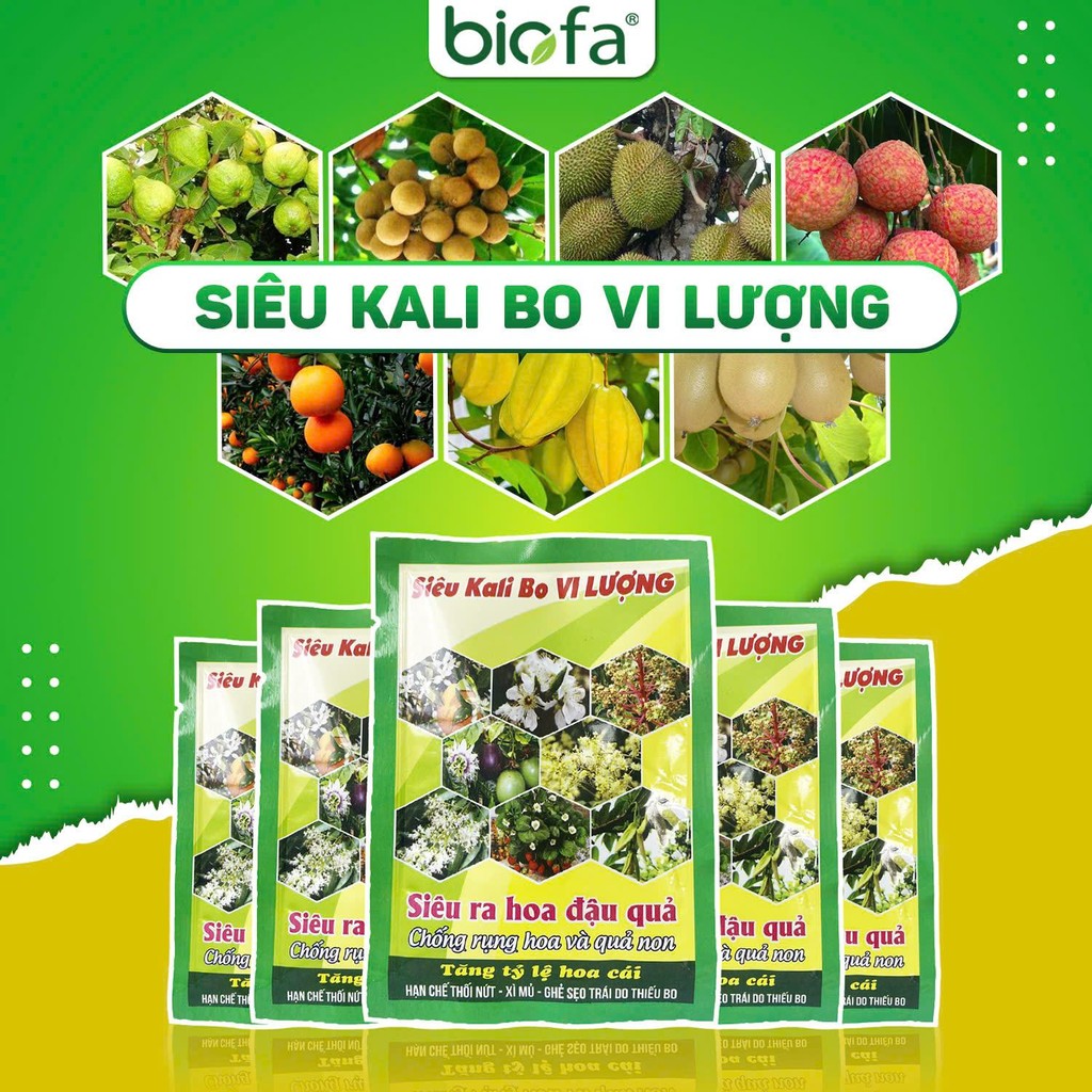 Kích Hoa, Giữ Trái cho cây trồng - Siêu Kali Bo Vi Lượng BIOFA | Shopee Việt Nam