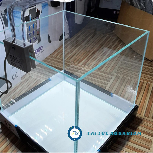Bể kính siêu trong Cubic 20 cm, Cubic 25 cm, Cubic 30 cm, Cubic 40 cm ...