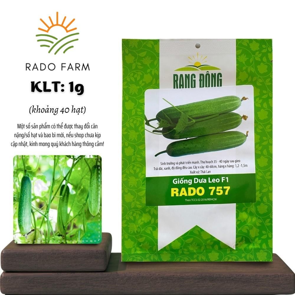 Hạt giống Dưa Leo Lai F1 Rado 757 (Trái Dài) (1g~40 hạt) trồng quanh năm - Rado Farm | Shopee ...