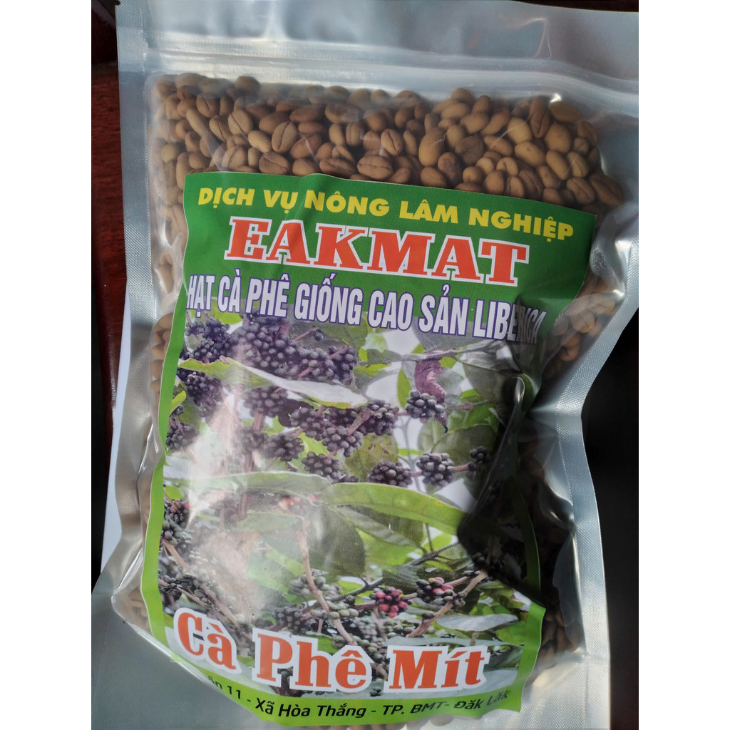 1 KG = 1000 GRAM HẠT GIỐNG Cà Phê MÍT (ViỆn Eakmat )[ HẠT ĐẸP tuyển ...