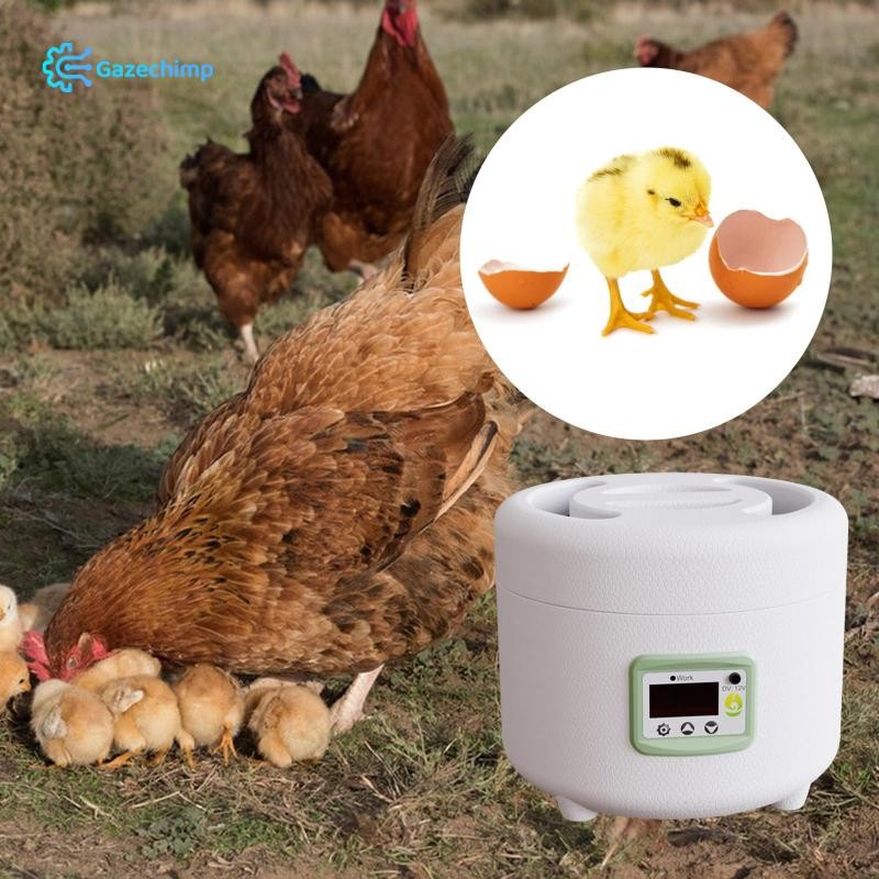 Màn hình kỹ thuật số Trứng Hatcher Chick cho gà, vịt, chim cút, chim ...