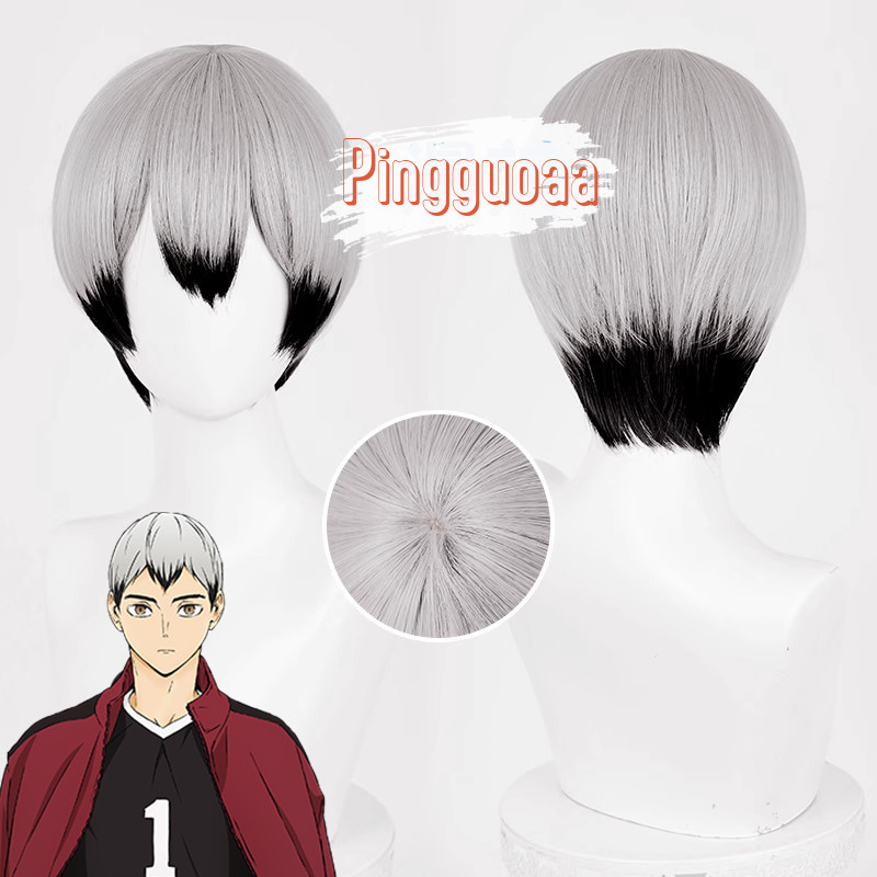 【Manmei】Anime Haikyuu!! Kita Shinsuke Cosplay Wig 27cm Short Heat ...