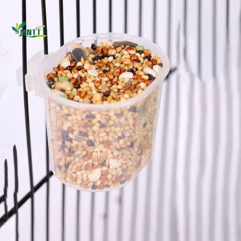 Hộp đựng thức ăn cho chim MNTT treo thực tế | Shopee Việt Nam