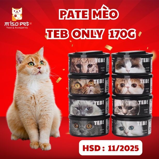 Pate Mèo Teb Only Bổ Sung Dinh Dưỡng Lon 170g | Shopee Việt Nam
