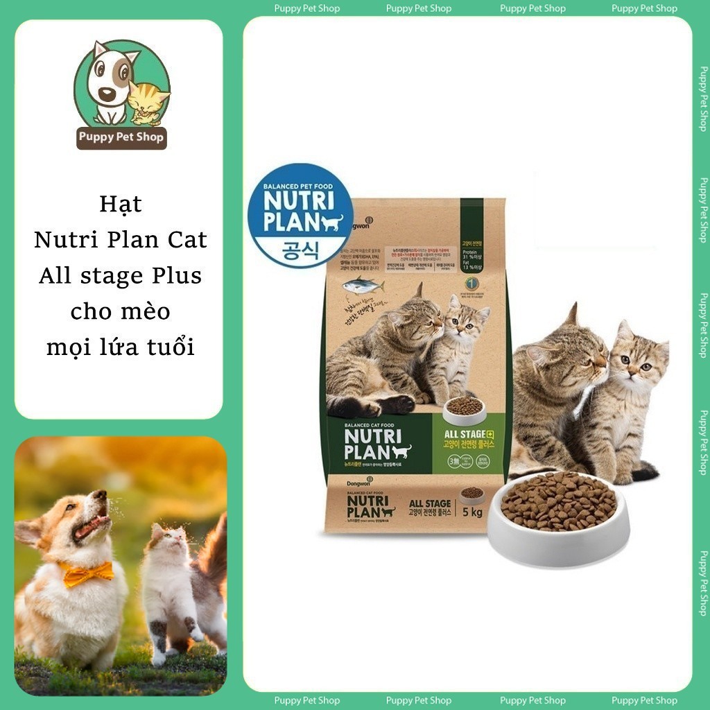Thức ăn hạt cho Mèo Nutri Plan - Thức ăn hạt Nutri Plan Softmune, Nutri Plan Cat All Life Stage ...