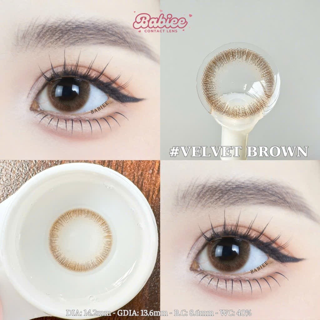Lens Velvet Brown BABIEE EYES Kính áp tròng JOLLY EYES giãn vừa 14.2mm ...