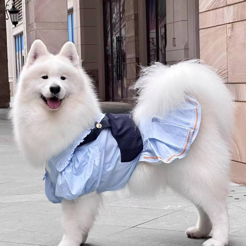 Pet Spring and Summer Thin Medium Large Dog Princess Lace Skirt Cute ...