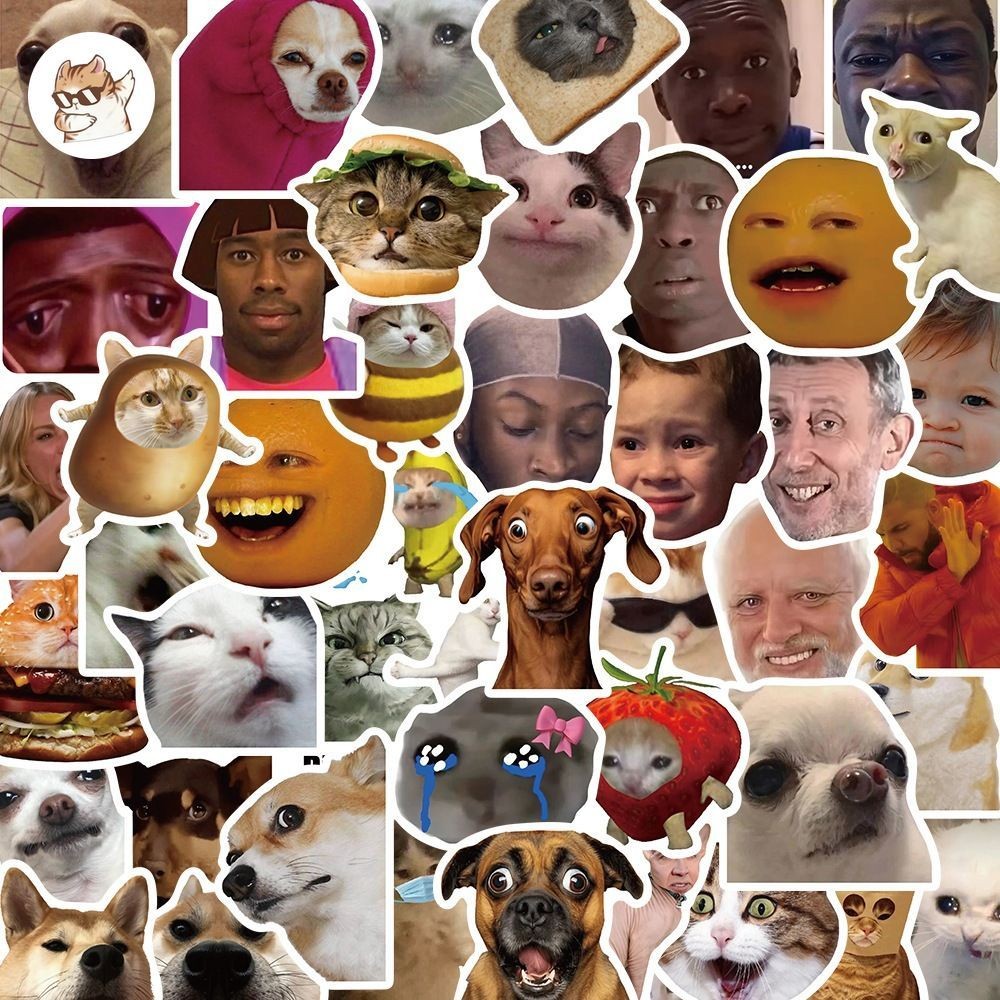 Set 5/10/20/50 cái sticker chống nước FUNNY MEME HÀI HƯỚC CHÓ MÈO dán ...
