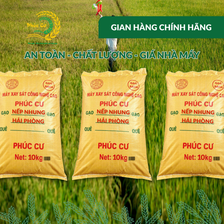 [COMBO 30KG] Nếp Bắc 4 tháng (Nếp Nhung Thơm) Nếp Quê Loại Ngon - Phuc ...