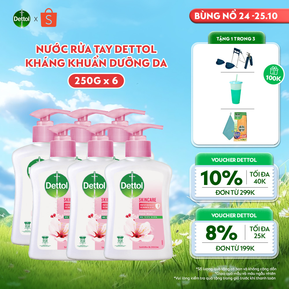 Combo 6 chai nước rửa tay Dettol kháng khuẩn dưỡng da - Chai 250g/Chai ...
