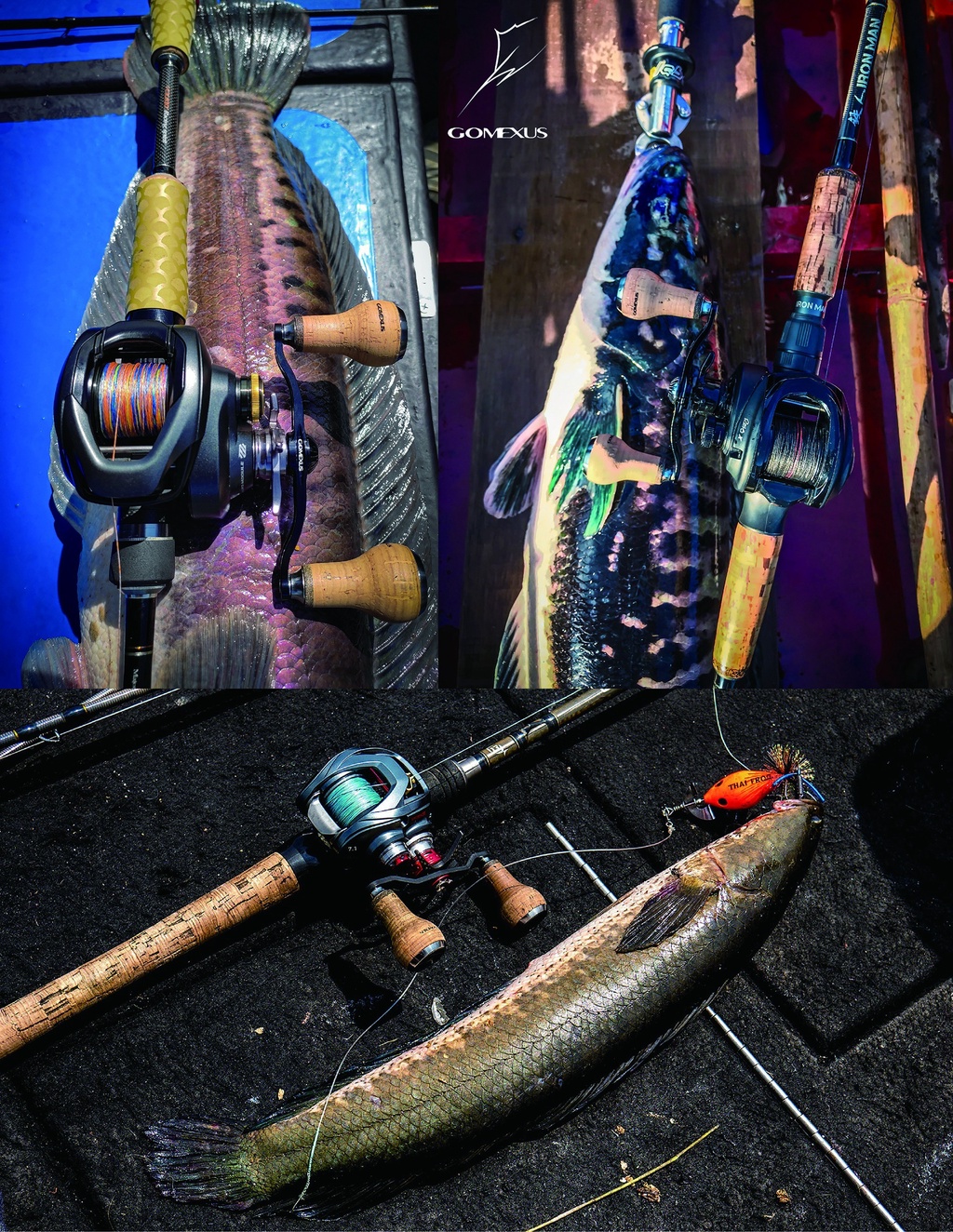 Tay quay câu cá GOMEXUS thích hợp cho cần câu Shimano Calcutta Curado ...