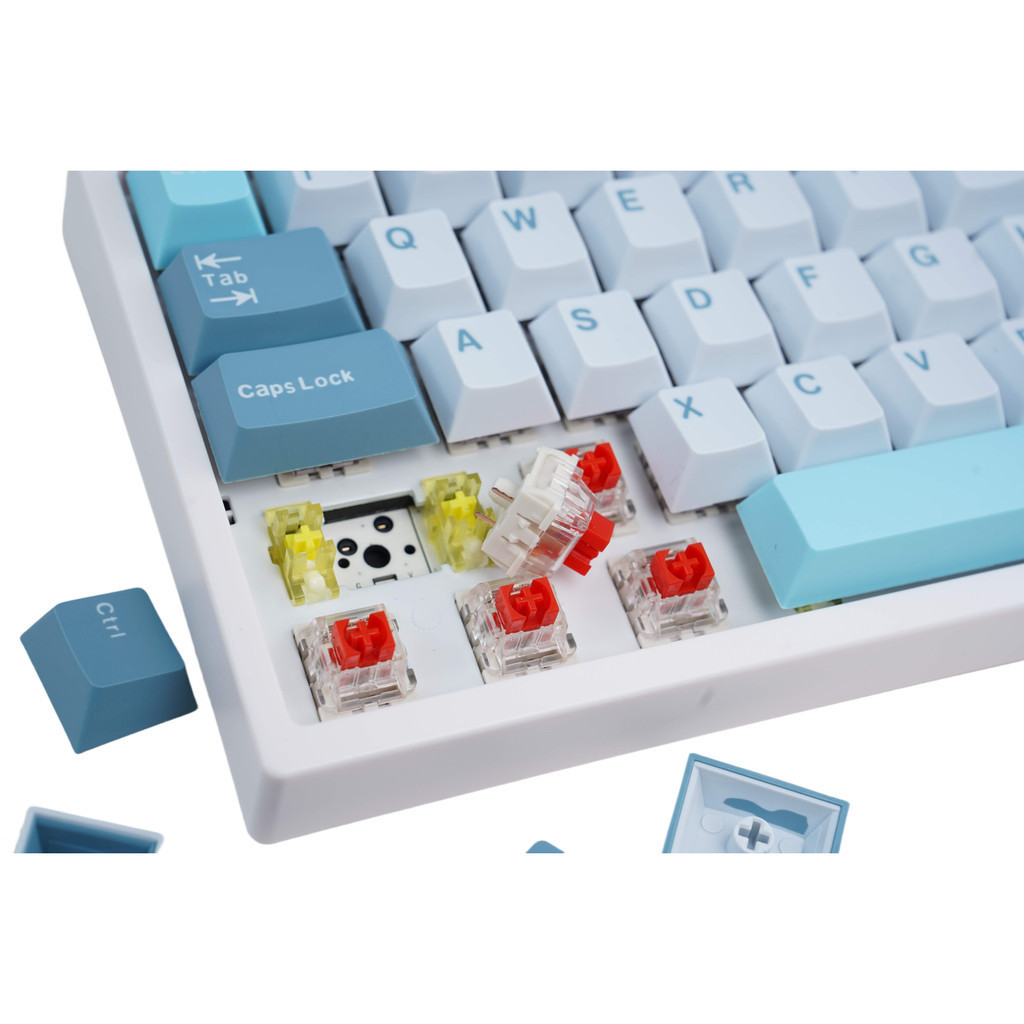 Matherw TECH MK66 Pro 65% Bàn phím cơ không dây có dây RGB 2.4Ghz ...