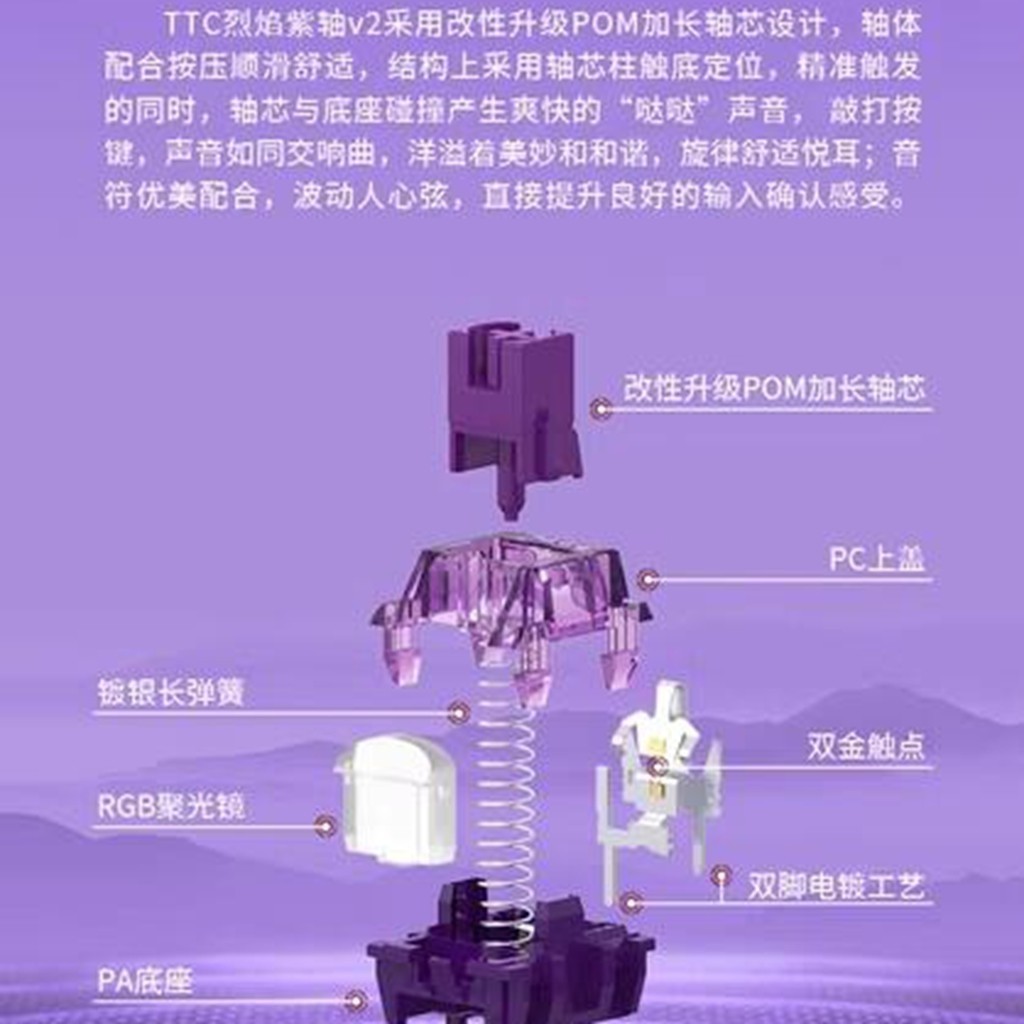 TTC Flame Purple Switch V2 42g 5 Chân 23mm Lò Xo Gõ Văn Phòng Bàn Phím ...