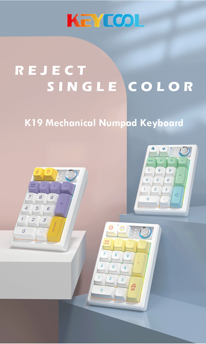 Bàn phím cơ Numpad Keycool K19 3 chế độ kết nối, RGB, hotswap, có núm ...