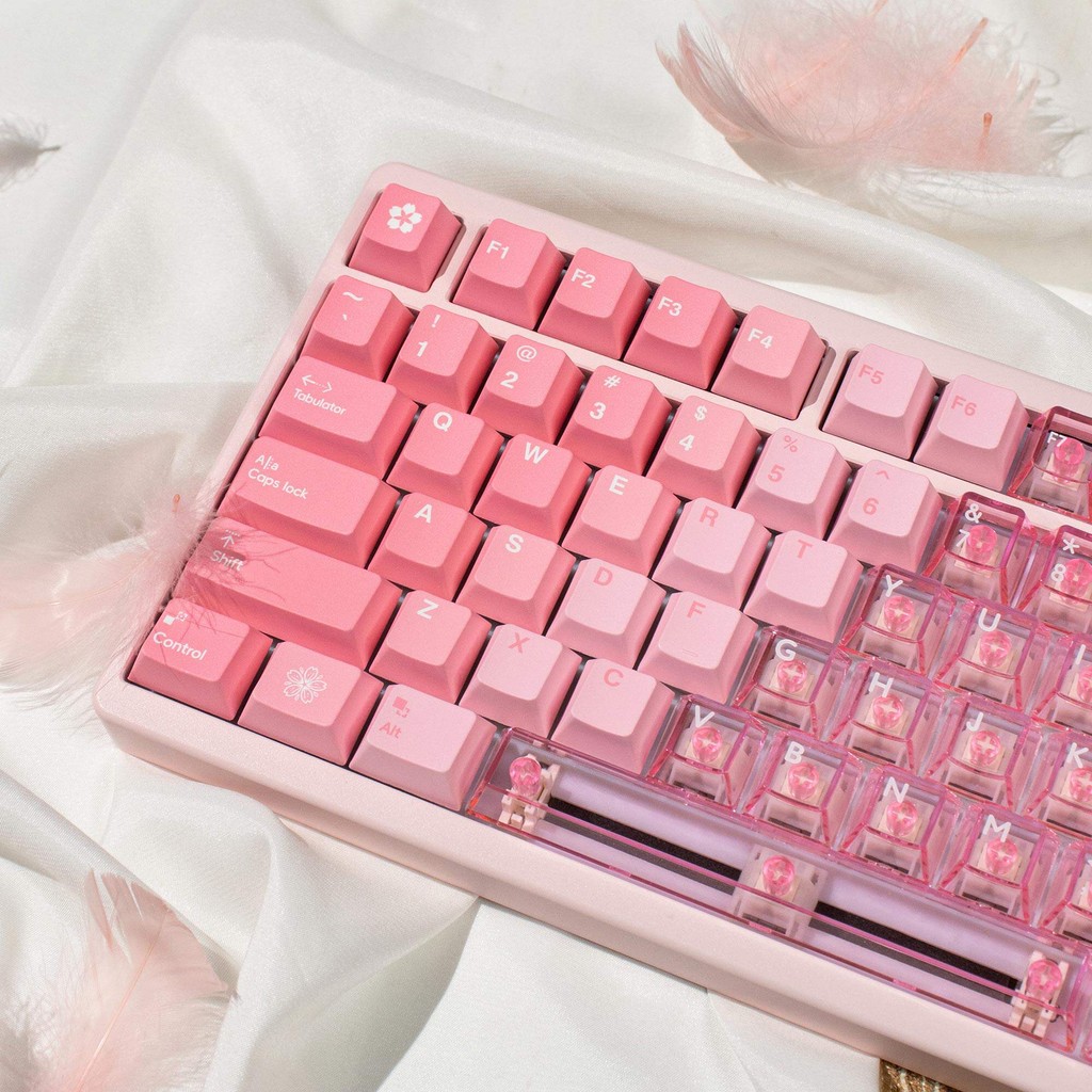 Tuyết Núi Hoa Xem Hồng Gradient Keycap Trong Suốt PBT Thăng Hoa PC Pad ...