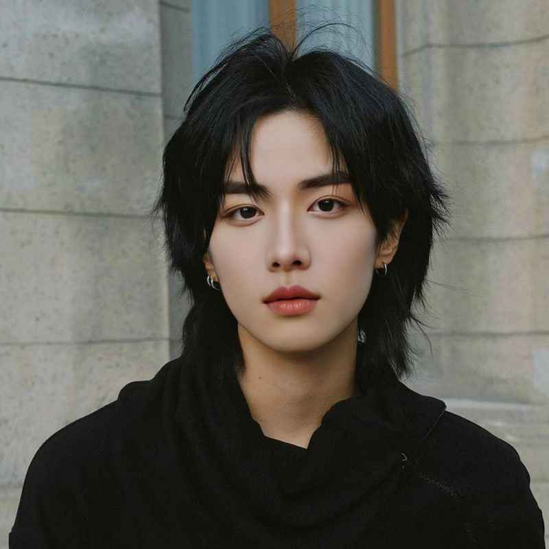Phong Cách Nam Đuôi Sói Trung Bình Tóc Lông Tơ Mullet Nam Xu Hướng Thời ...