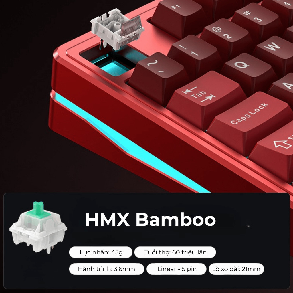 Bàn Phím Cơ PMO Aurora 80 – TKL 87 Phím | Nhôm CNC | 3 Chế Độ Kết Nối ...