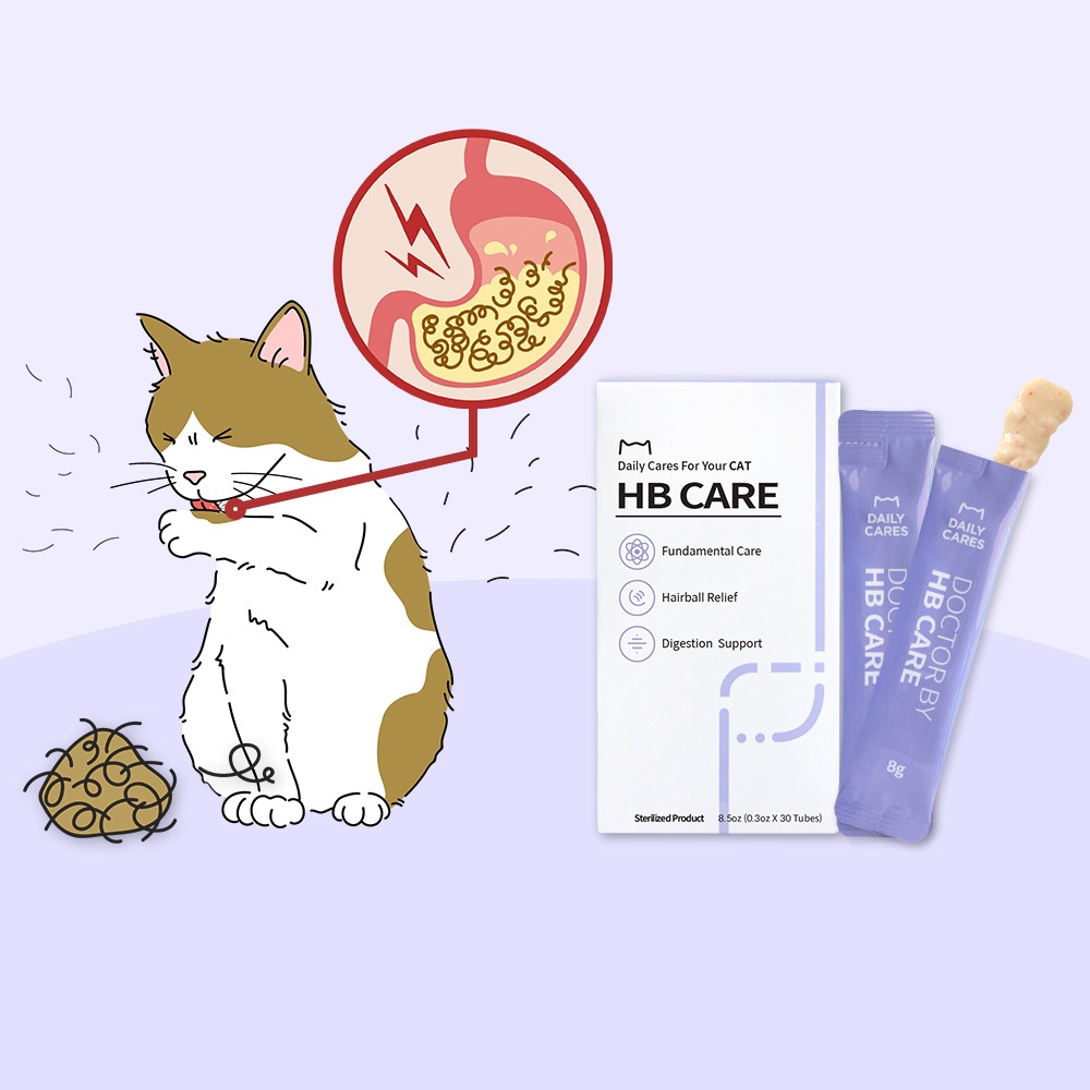 DOCTOR BY HB CARE Thực phẩm hỗ trợ dạng súp ăn vặt chăm sóc các búi ...