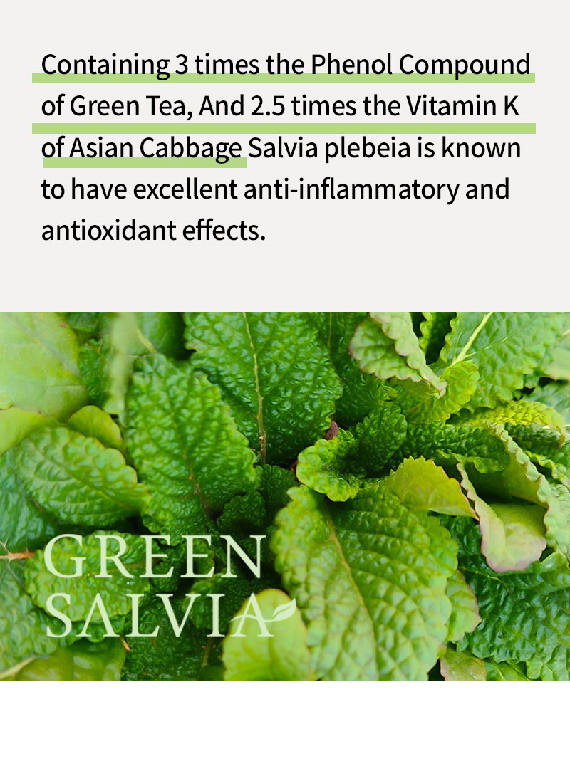 MEIDEME Green Salvia Treatment Toner 200ml | Shopee Việt Nam