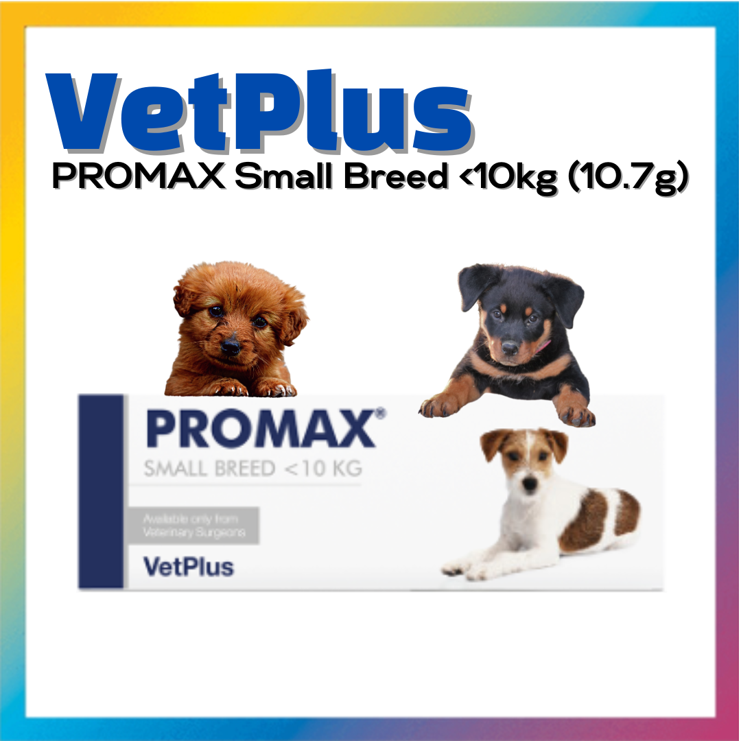 [vetplus] Promax Thức Ăn bổ sung