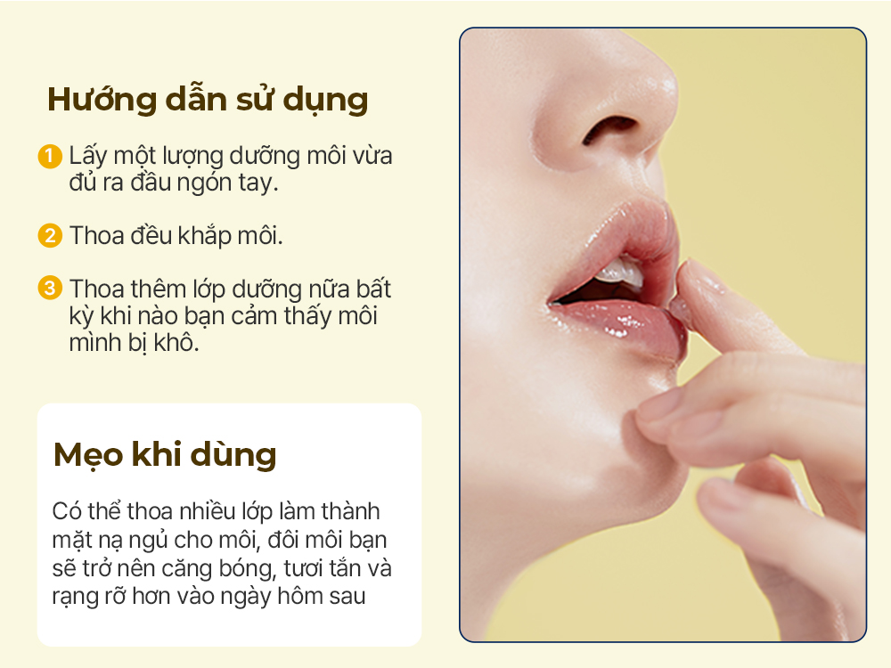 [Torriden Chính hãng] Set dưỡng chất chăm sóc môi SOLID IN chứa Ceramide, 11ml + 11ml, Lip ...