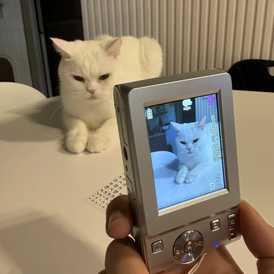 Máy ảnh Booie Y2K Retro Camera + Biz Strap Camcorder Mod Dica (+SD Card ...