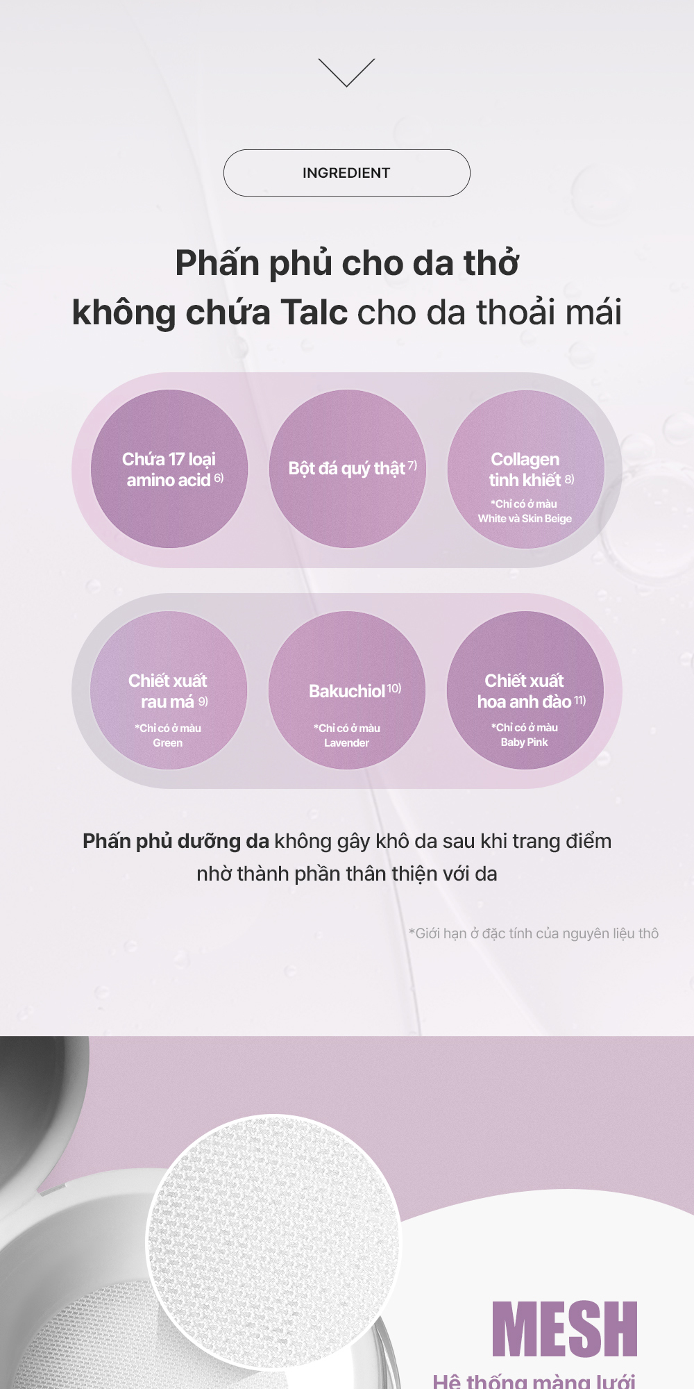 Phấn phủ TFIT Translucent Set Finishing Powder, phấn phủ kiềm dầu tức ...