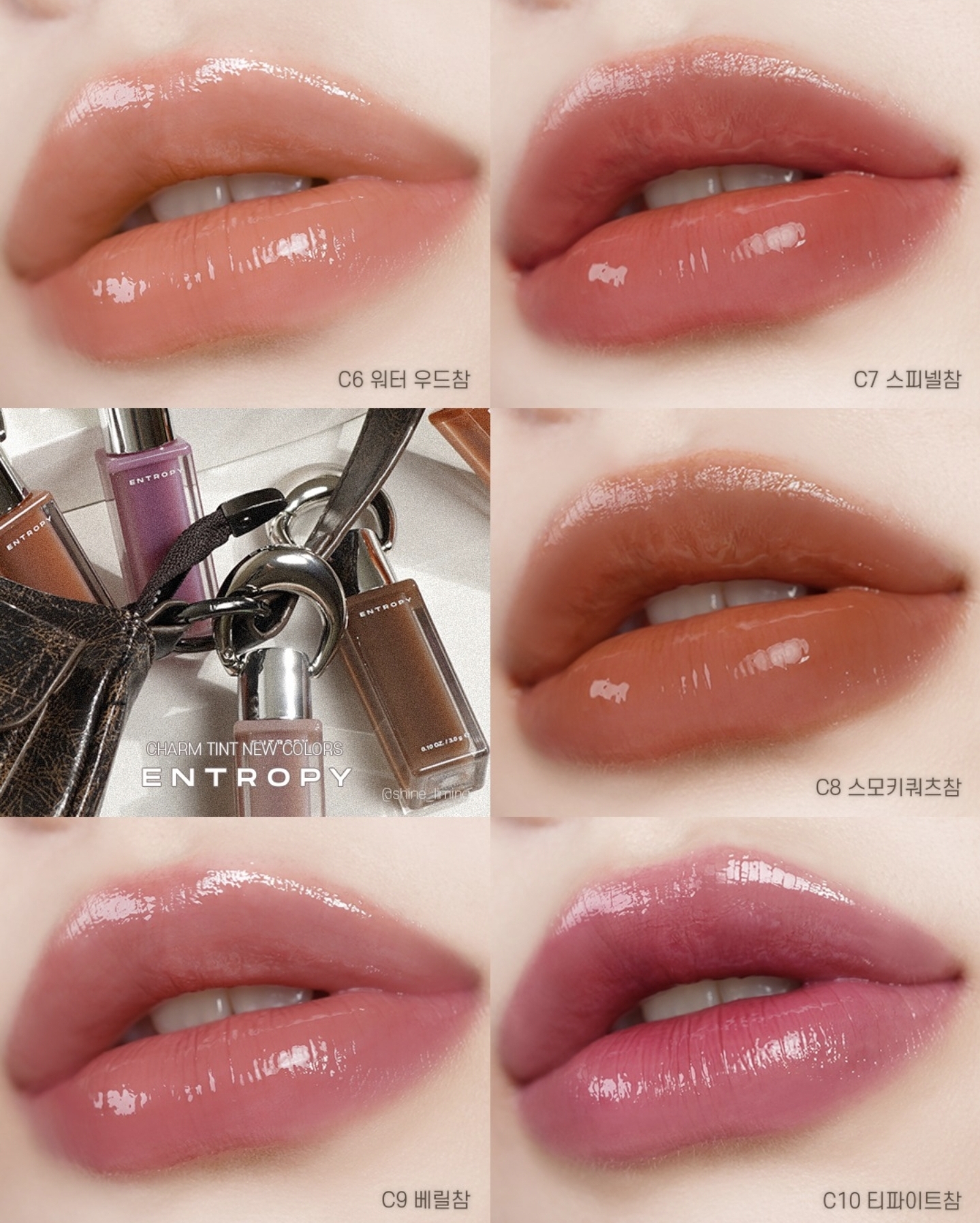 Entropy Charm Tint Glosy Gel Line 3g 10 Màu | Shopee Việt Nam