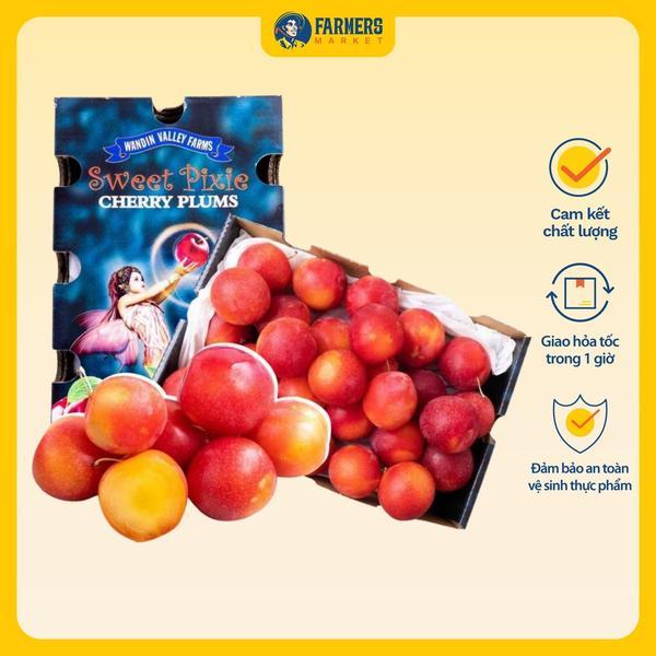 Mận Sweet Pixie Wandin Valley Vip Úc - Hộp 200G | Shopee Việt Nam