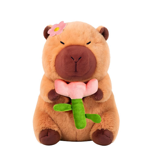 [Gift] Gấu bông hình Capybara | Shopee Việt Nam