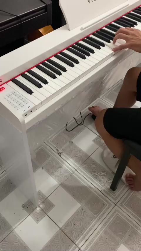 Đàn Piano Điện VicTor VT02 Phiên Bản 2026 - Đủ 88 Phím Đàn Gỗ Chất ...