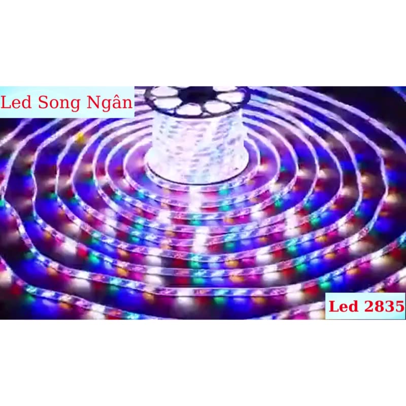 50M 100M dây đèn led 2835 nháy đuổi bọc plastic, chống nước, tặng kèm ...
