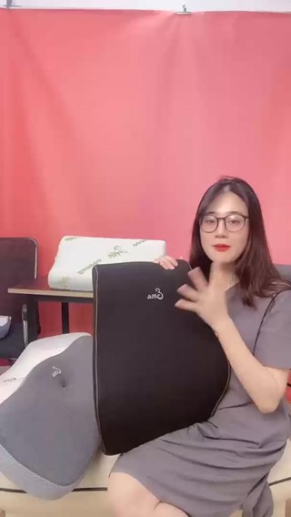 Gối Tựa Lưng Massage Cao Su Non Ema Ôm Trọn Lưng Giúp Thư Giãn Dành Cho Dân Văn Phòng