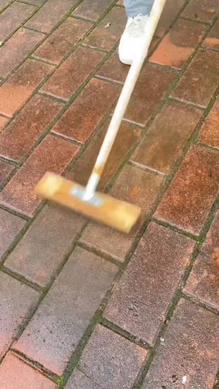 Chổi sắt chà rêu không gỉ loại bền đẹp, chổi sắt chà rong rêu, ố vàng ...