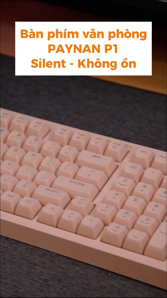 Bàn phím văn phòng P1 Paynan chống ồn kết nối cáp rời 98 phím đèn led ...
