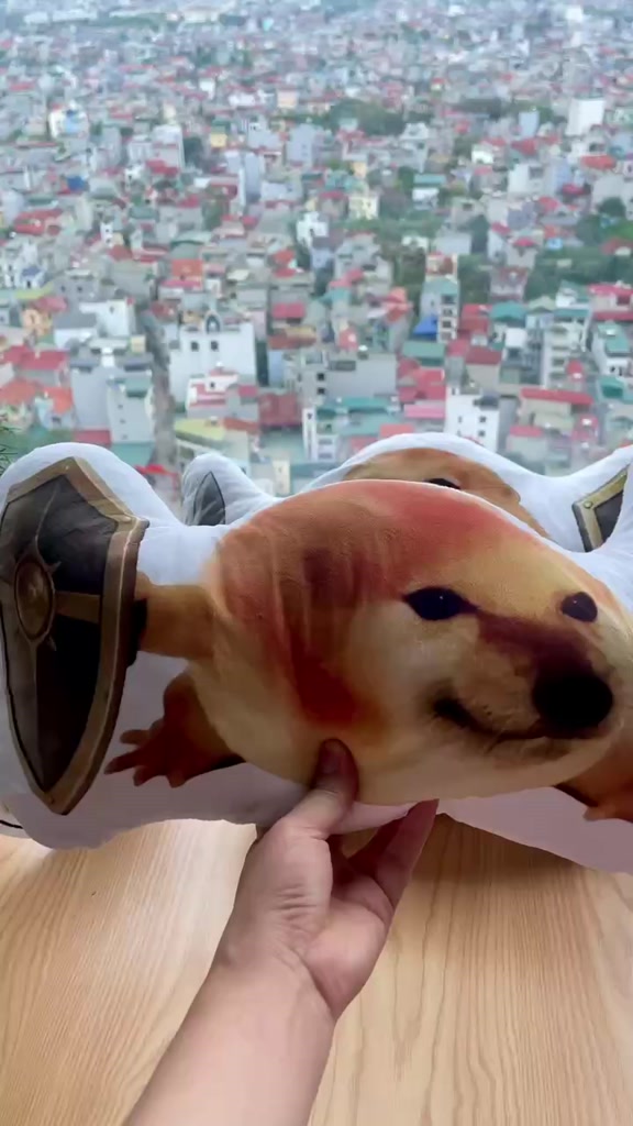 Gấu Bông Pipilabu Meme, What The Dog Doing Quà Tặng Cho Bé | Shopee ...