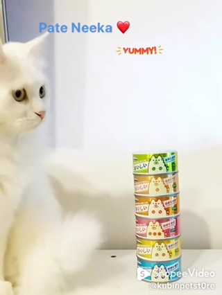 [ NEEKA ] Pate NEEKA Dạng Súp Thịt Xé Sợi Nhiều Dinh Dưỡng Dành Cho Mèo ...