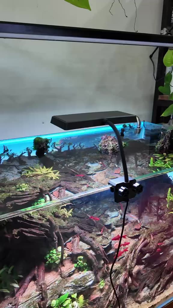 Đèn Neo Helios Flat S3 Pro và S3 Plus RGB đỏ cá không đỏ nước | Shopee ...