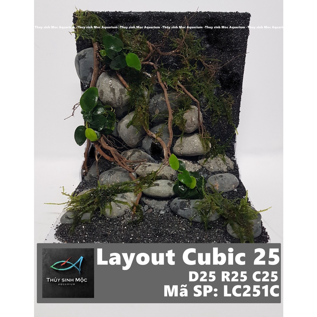 Layout Thủy Sinh (có cây) sử dụng cho bể CUBIC 25 (D25 R25 C25 ...