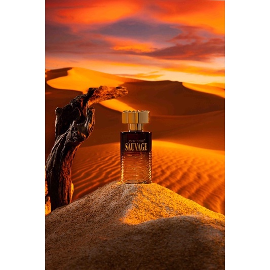 Nước Hoa Nam JD Sauvage Eau De Parfum 5ml-80ml | Shopee Việt Nam