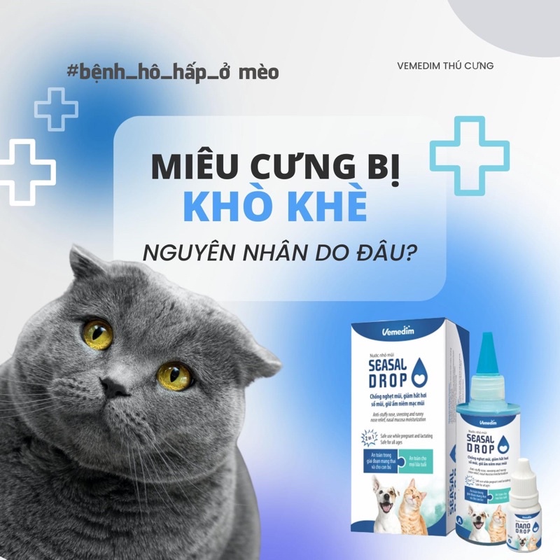 SEASAL DROP -Nước nhỏ mũi chống nghẹt mũi, giảm hắt hơi, sổ mũi, giữ ẩm ...