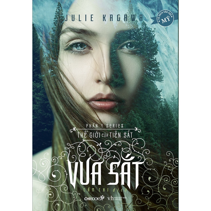 SÁCH - Vua sắt - Phần 1 series Thế giới của tiên sắt - Tác giả Julie ...