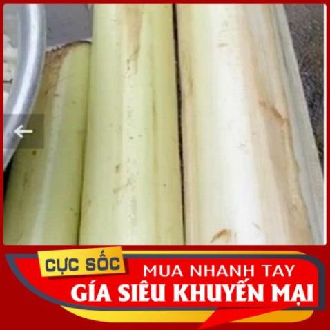 4 cây chuối moi cây dai 1m | Shopee Việt Nam