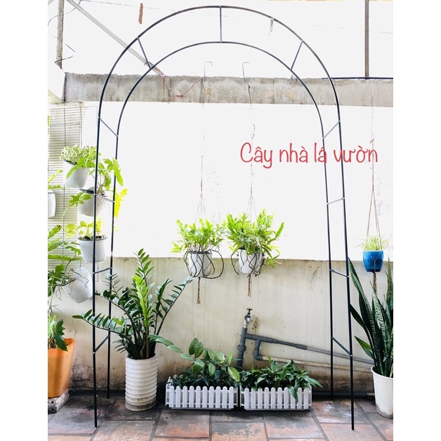 Khung vòm cho cây leo. | Shopee Việt Nam