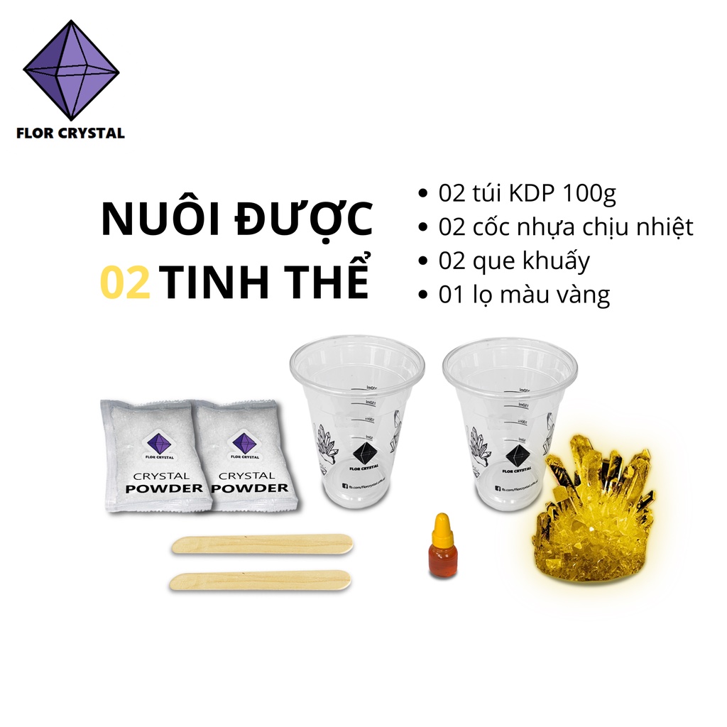 🥑 [NGUYÊN LIỆU CAO CẤP] KDP ADP đồ chơi nuôi tinh thể 200g-500g 🍓 ...