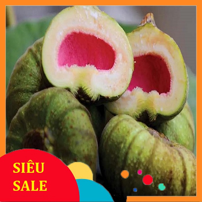 1kg trái va tươi quả vả | Shopee Việt Nam