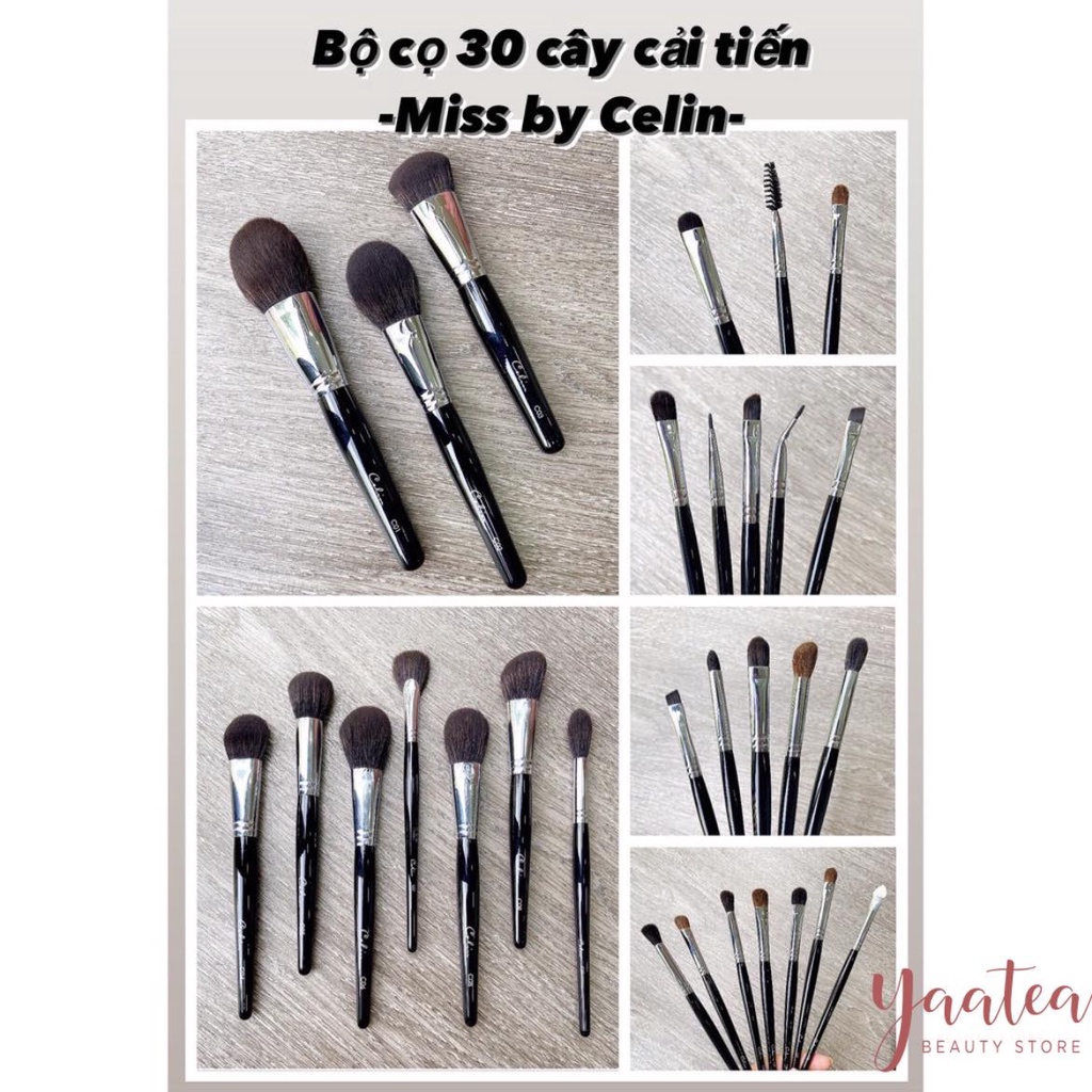 Bộ Cọ Celin Full Box | Shopee Việt Nam