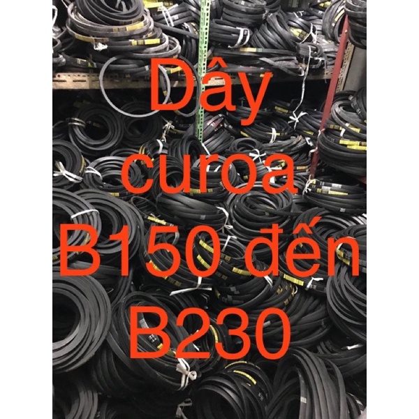 Dây Curoa Bản B đầu 10 B150,B155,B160,B165,B170,B175,B180,B185,B190,B195,B200,B205,B210,B215 ...