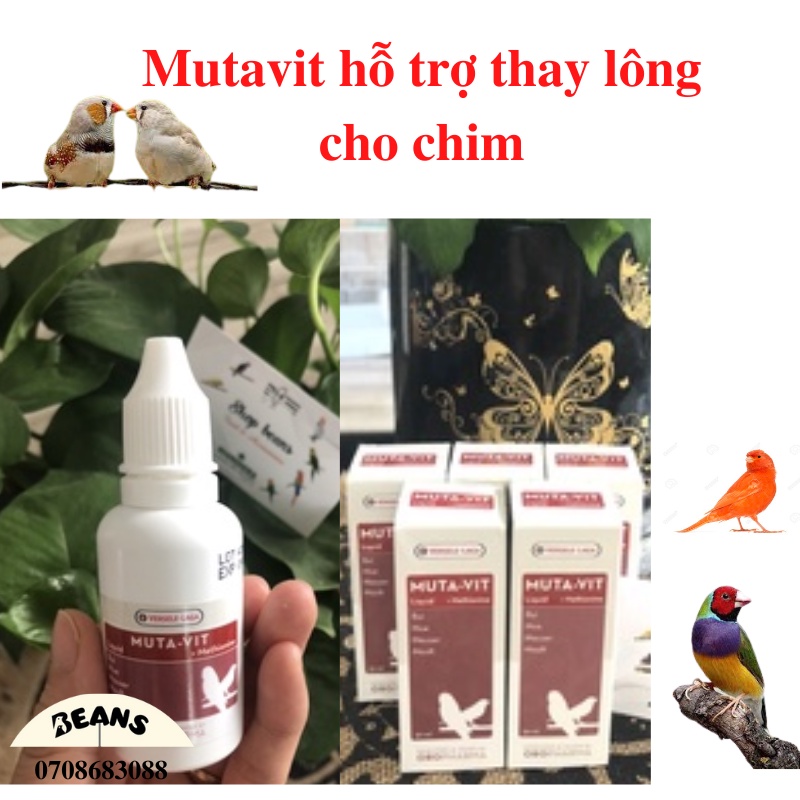 Vitamin hỗ trợ thay lông dành cho chim, vẹt Oropharma MutaVit chai ...