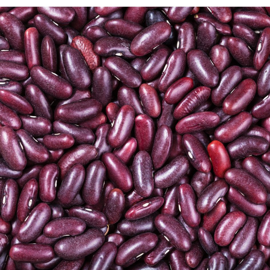 500g Các Loại đậu Hữu Cơ Đậu Xanh đậu đỏ Xích Tiểu đậu đậu đen đậu Tương đậu Nành